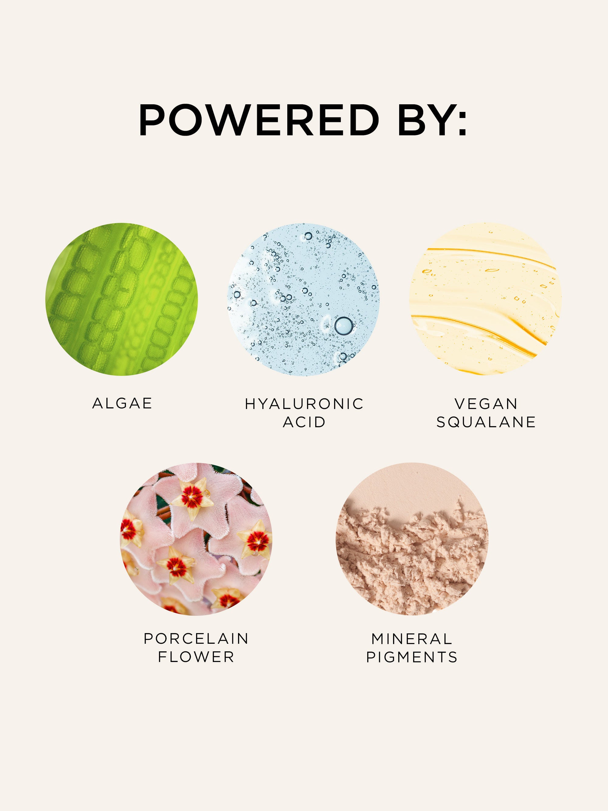 glowlight skin filter™ – Tarte™